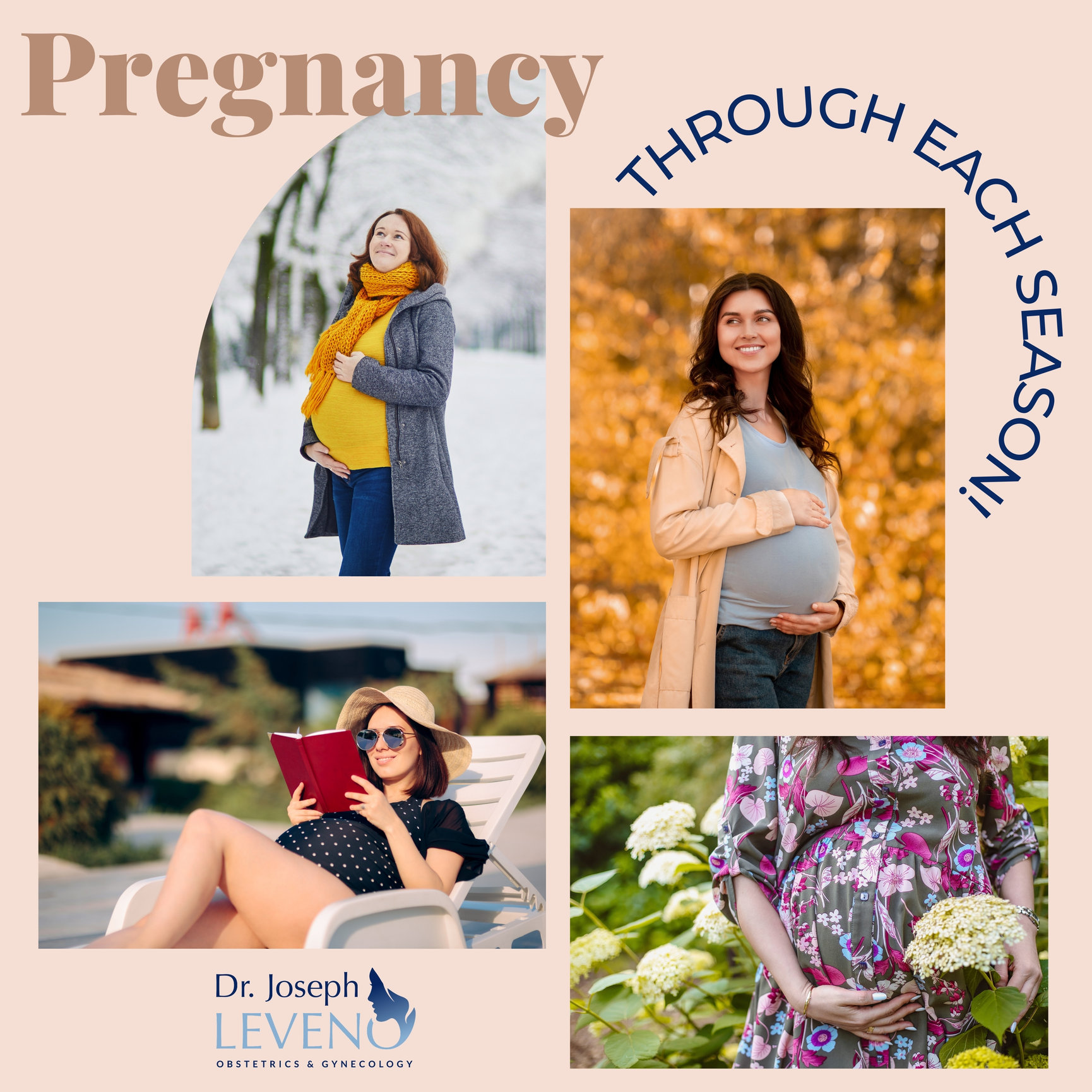 Surviving-Pregnancy-Through-Each-Season - Dr. Joseph Leveno